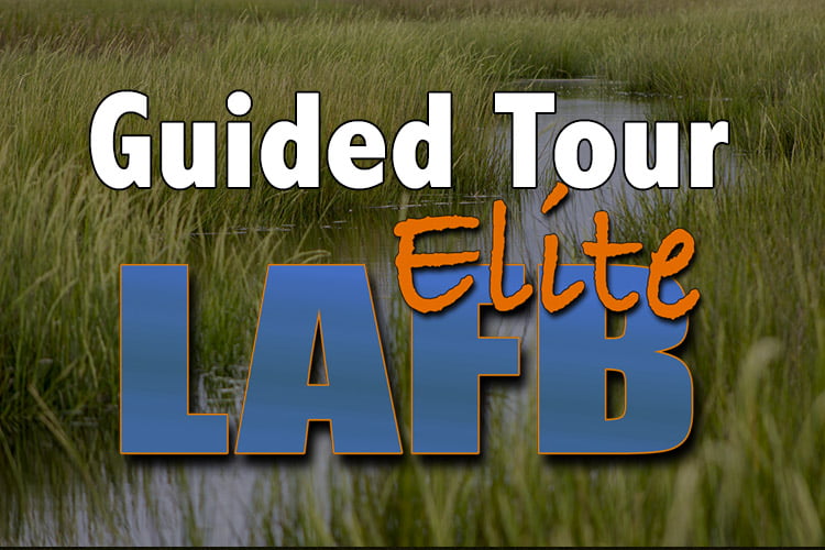Get The Most From LAFB Elite With This Guided Tour